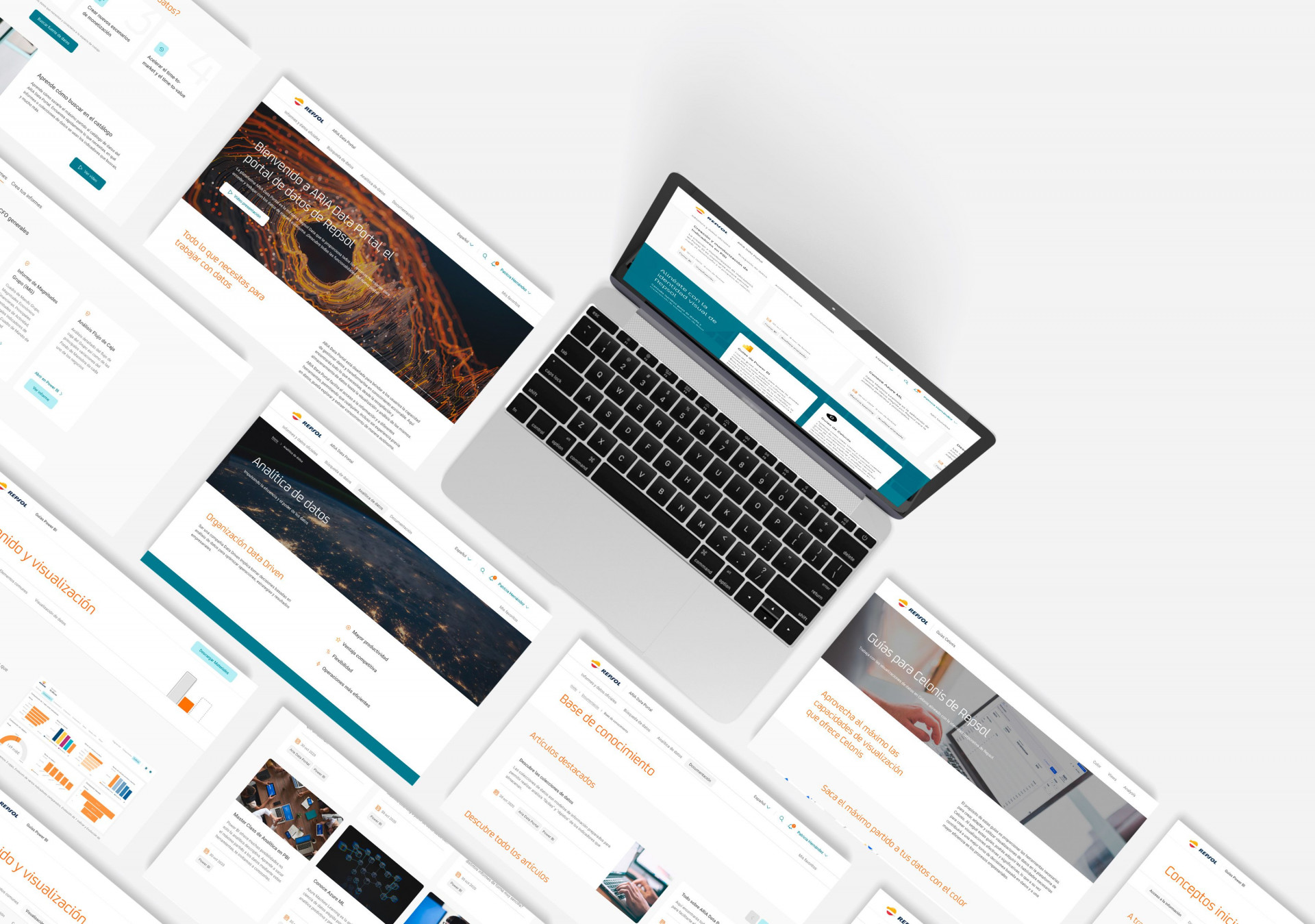ARiA Data Portal: an accesible data platform
