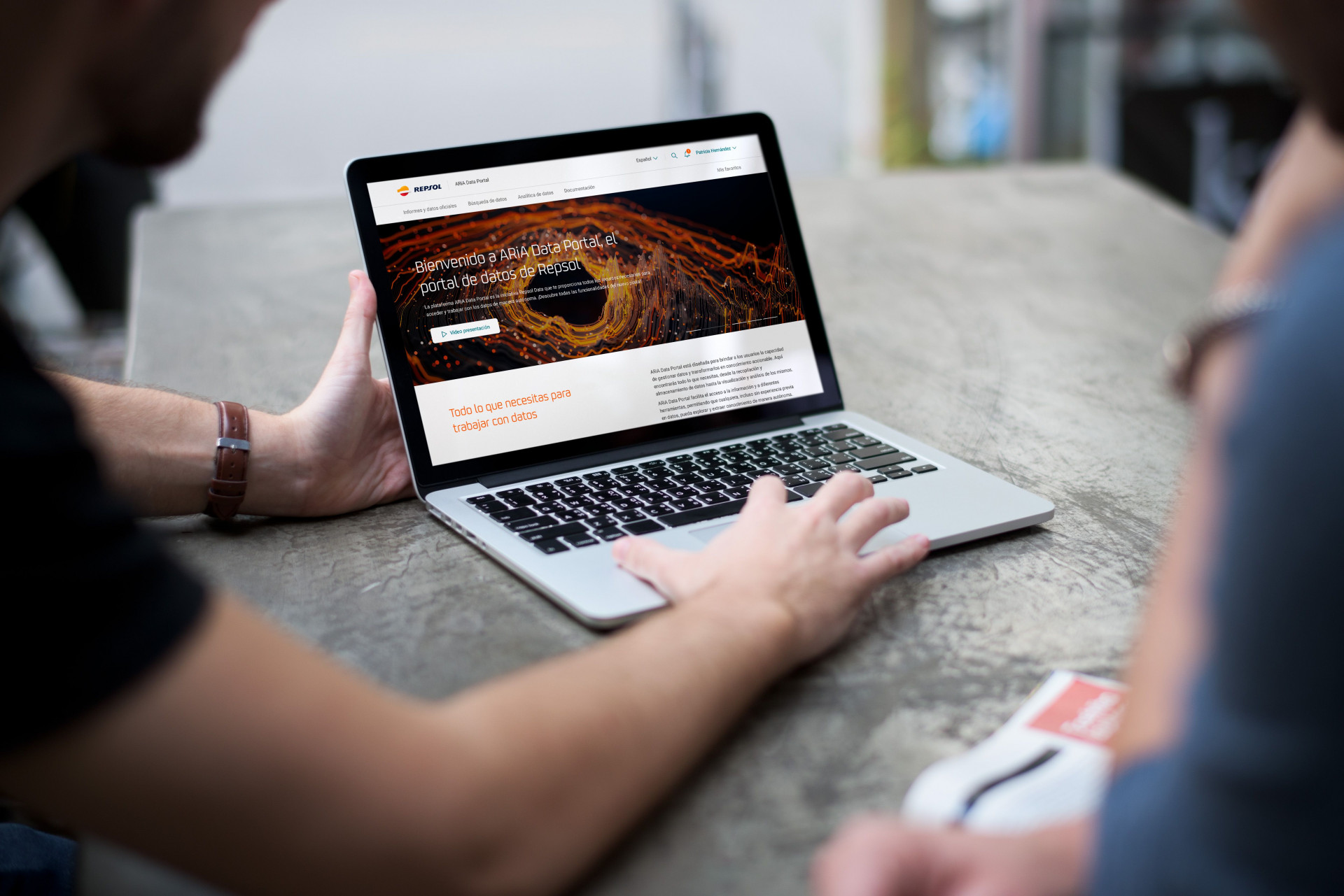 ARiA Data Portal: an accesible data platform