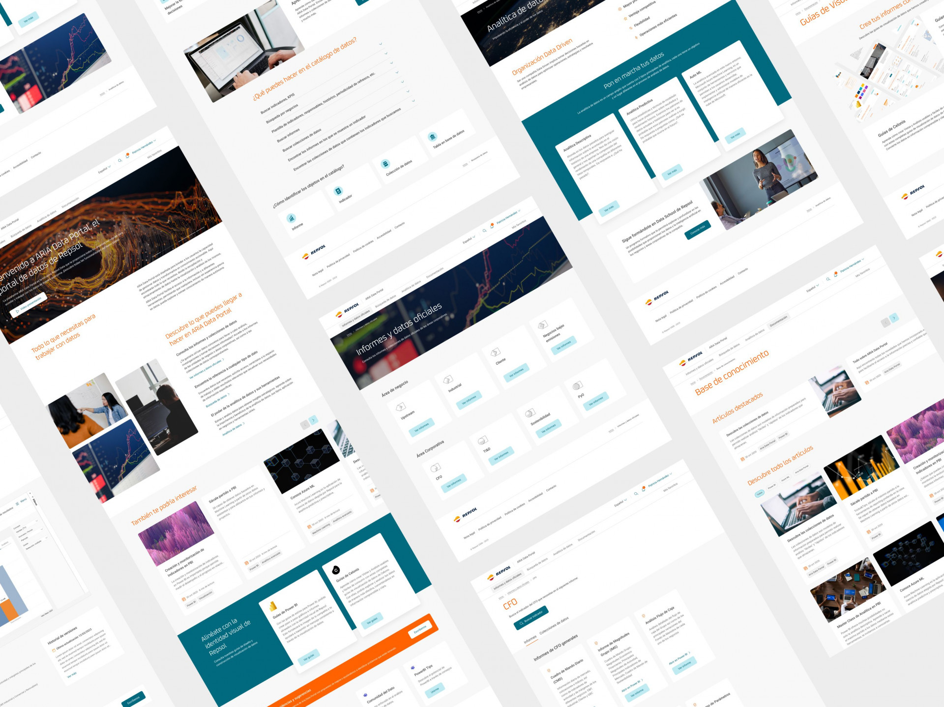 ARiA Data Portal: an accesible data platform