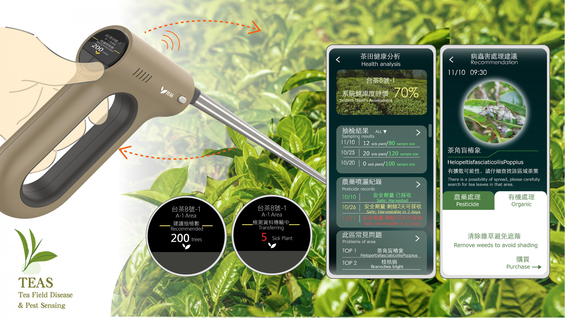 TEAS Tea Field Disease & Pest Sensing