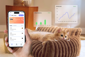 VitaPaw: AI-Powered Cats Health Monitoring System