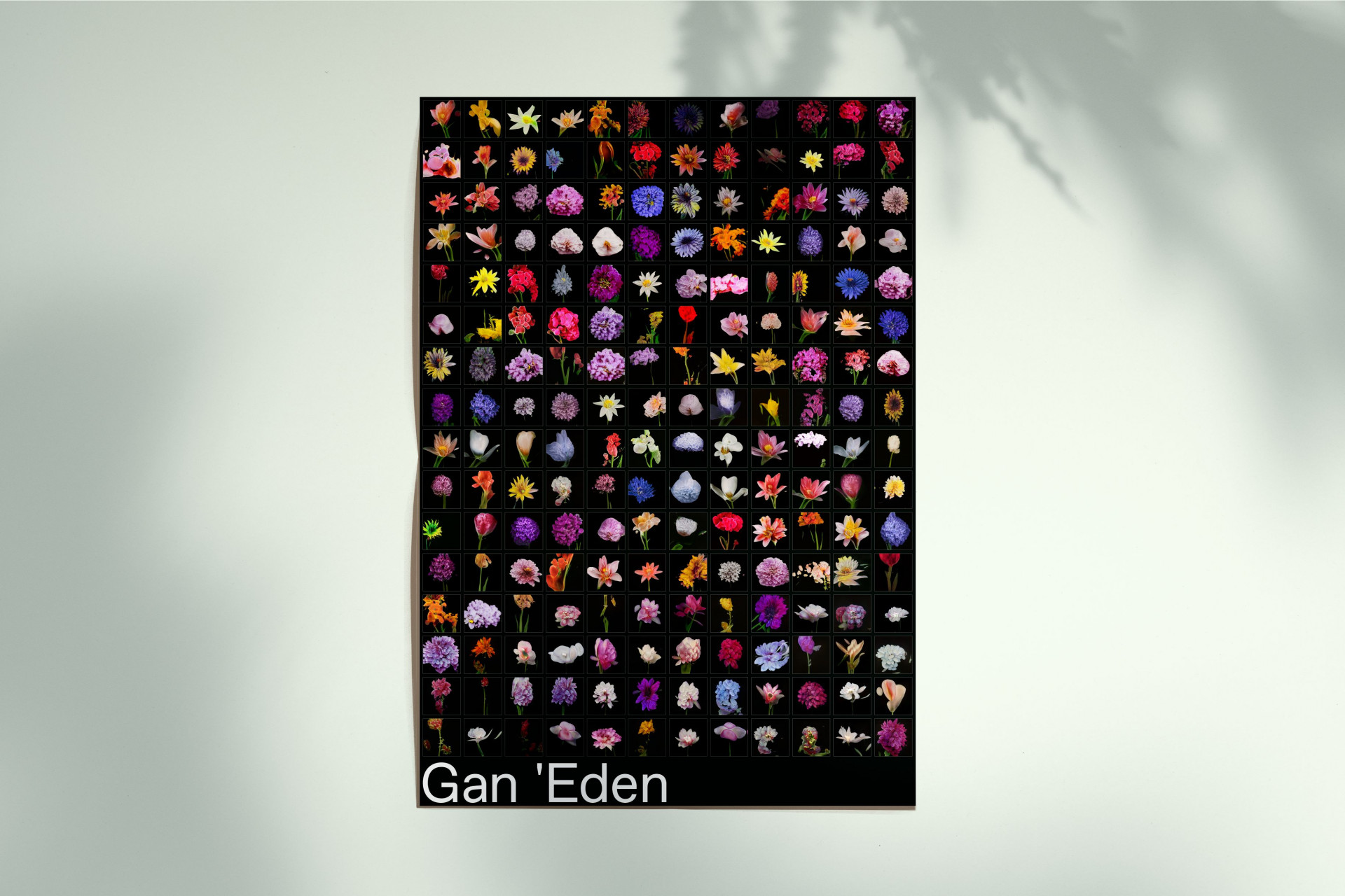 Gan 'Eden