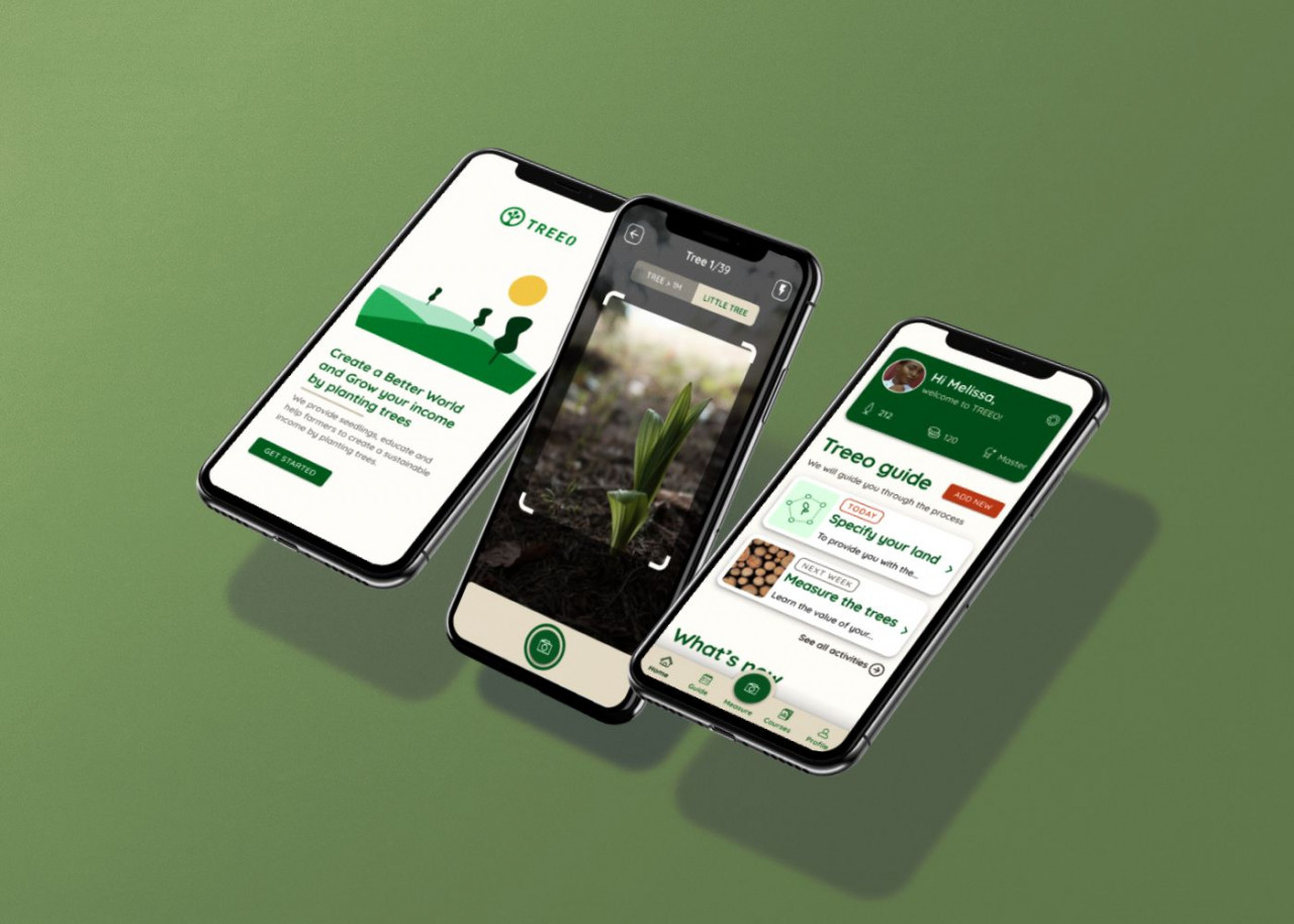 TREEO - Saving East African and Indonesian rainforests